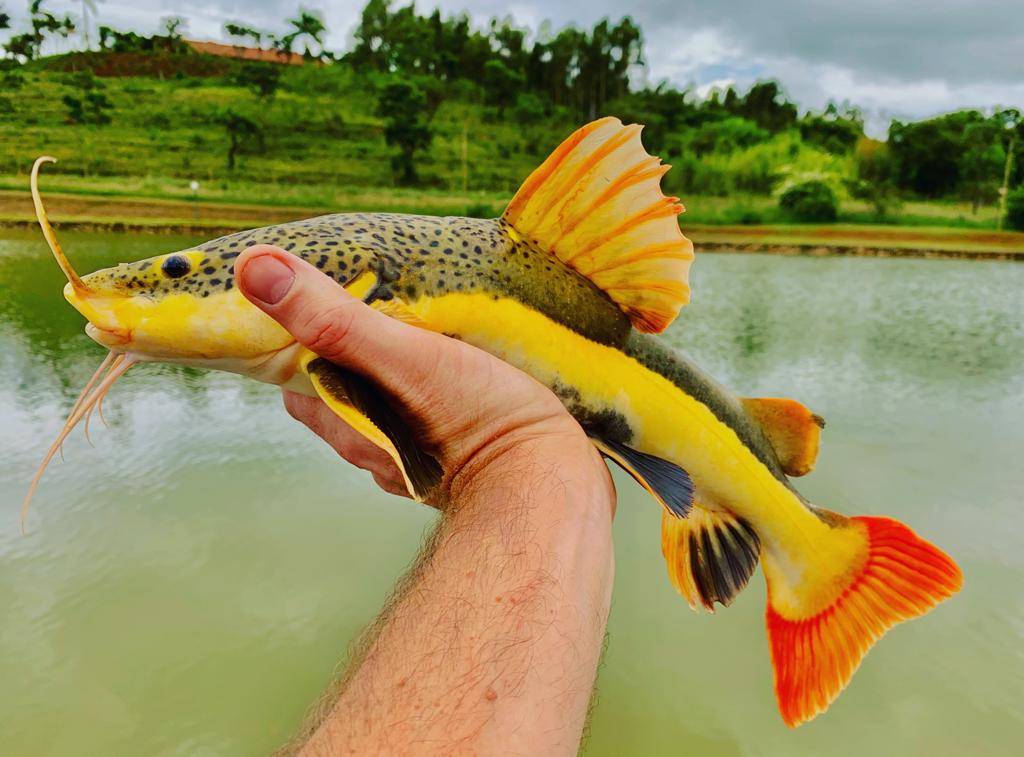 Hotel Fazenda Mutema